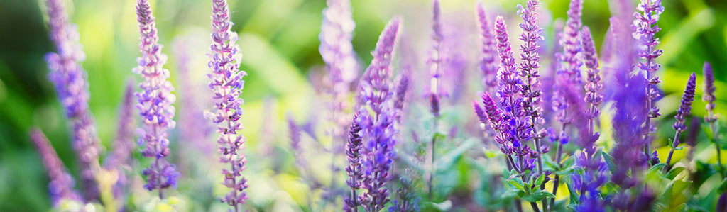Vette huid – Éminence Organics